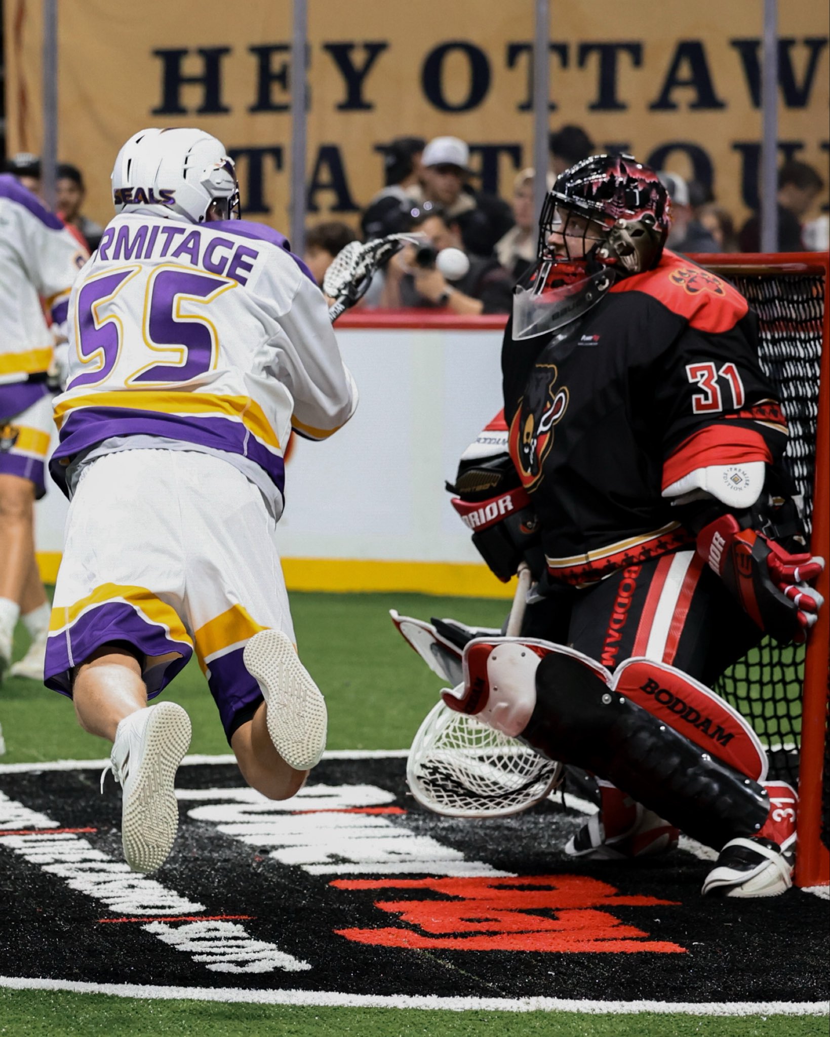 Seals Outlast Black Bears 16–13 in Season Opener at Ottawa - STREAM ...
